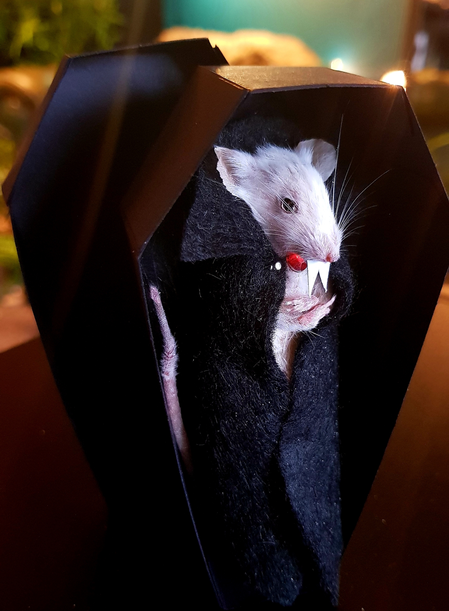 Halloween Count Dracula — Moth Studios