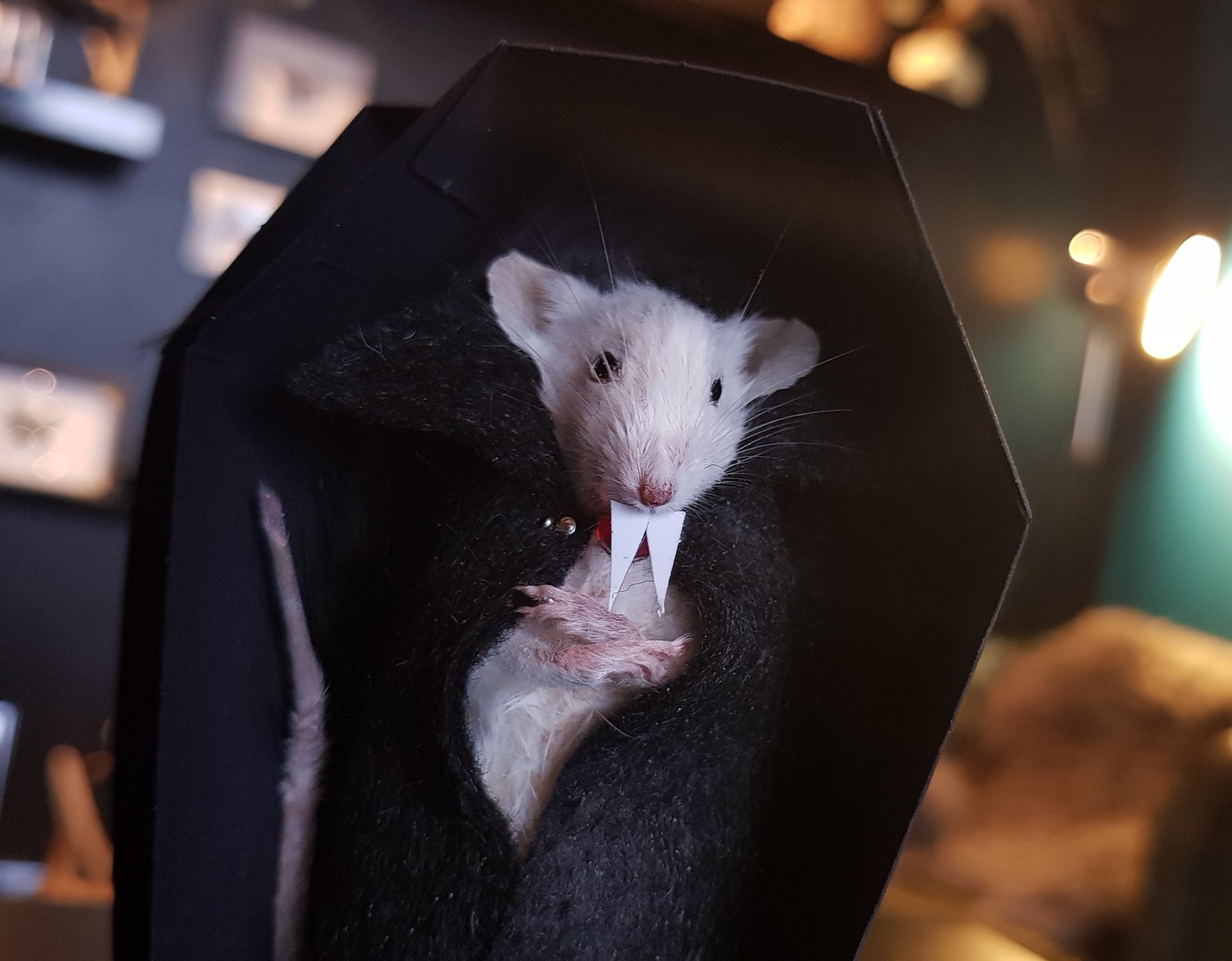 Halloween Count Dracula — Moth Studios