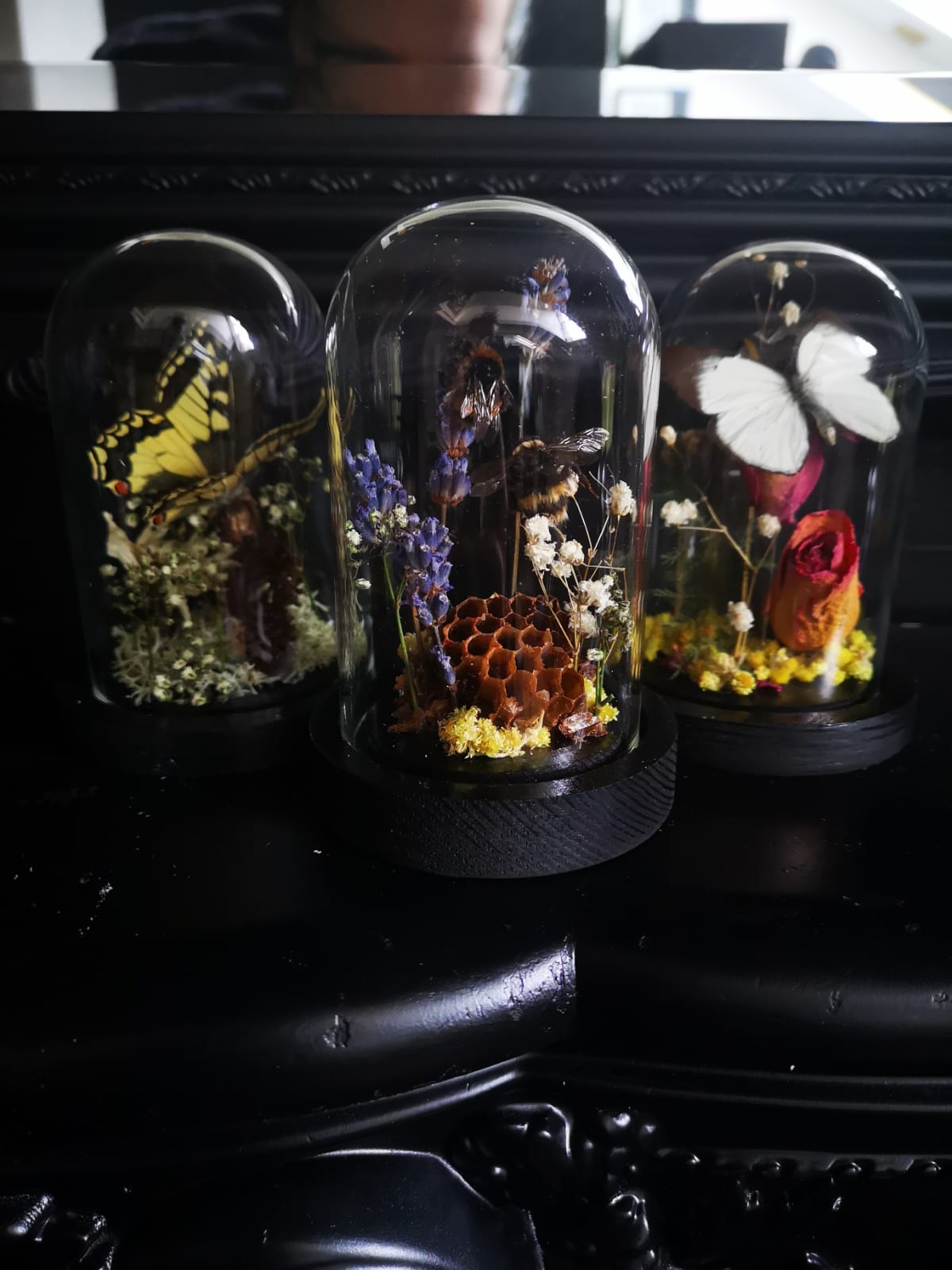 Bumblebee decorative bell jar — Moth Studios